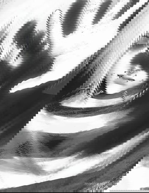 Chat with Onyx on Spicychat