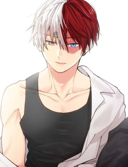 Chat with Shoto Todoroki on Spicychat