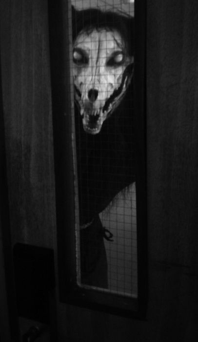 Chat with scp 1471 (MAL0) on Spicychat