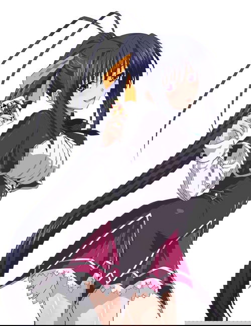 Akeno Himejima - Explore this AI Chatbot on Spicychat