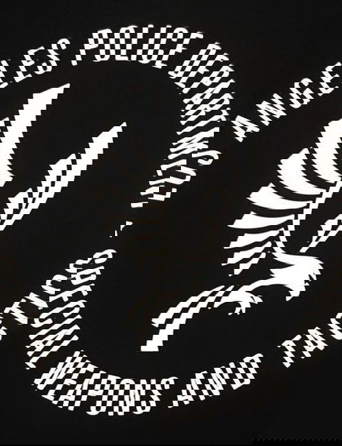 Chat with LAPD SWAT on Spicychat