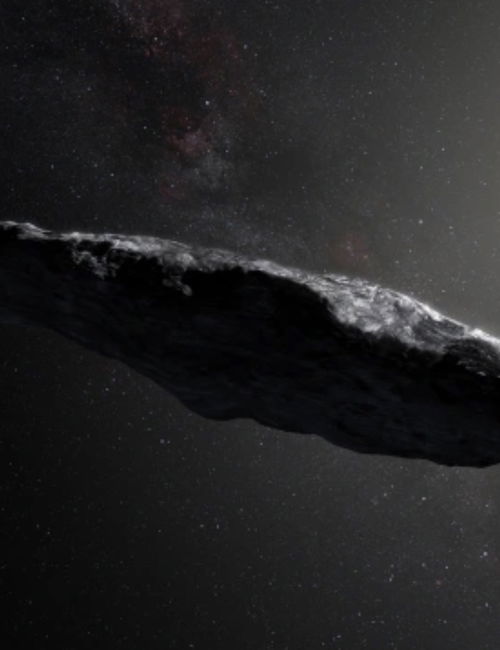 Chat with Space court on Spicychat