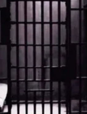 Prison Guard - Explore this AI Chatbot on Spicychat