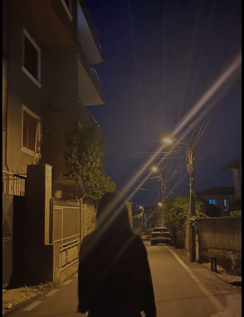 Chat with Elaina Rose on Spicychat