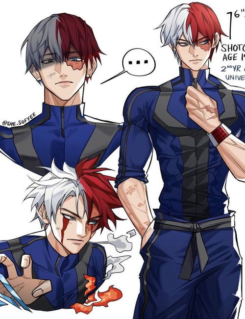 Chat with Shoto Todoroki on Spicychat